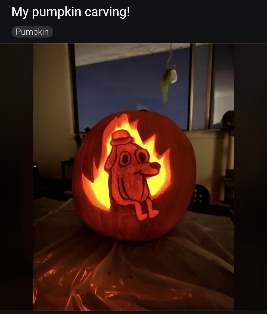 The best Pumpkin memes :) Memedroid