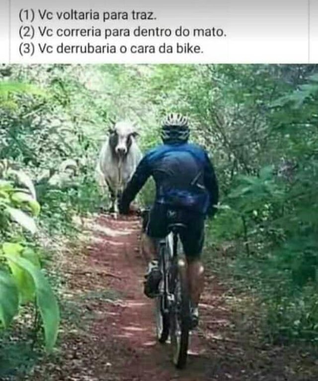 Um clássico das interwebs - Meme by walderp :) Memedroid