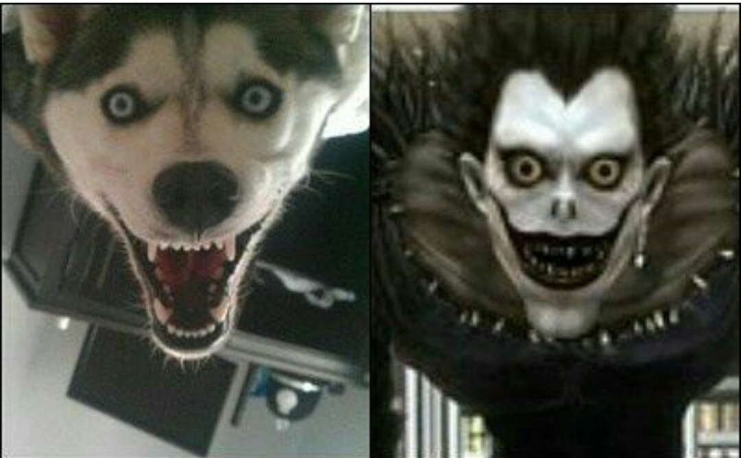 Rarrr - Meme subido por ManuCapelo :) Memedroid