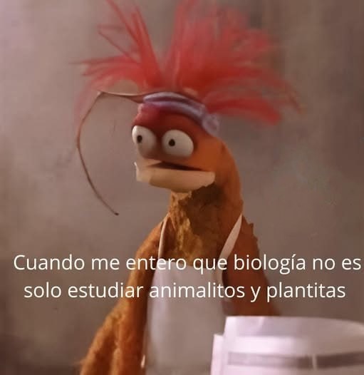 Los Últimos Memes :) Memedroid