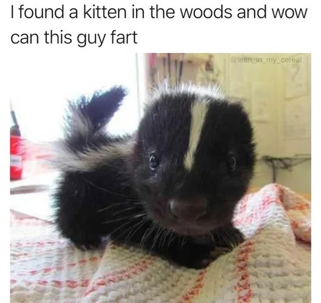 Cute and funny memes :) Memedroid