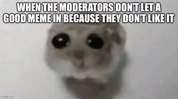 The best Sad memes :) Memedroid