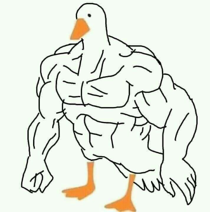 Patito - Meme subido por Amira012 :) Memedroid