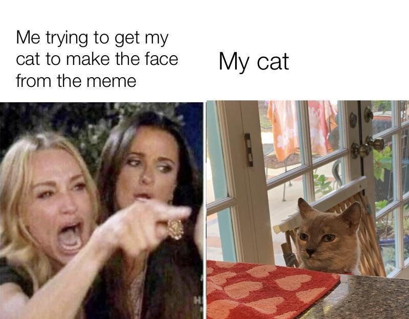 The best Trying memes :) Memedroid