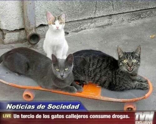 Y... Cómo son las noticias en tu país? - Meme subido por ...