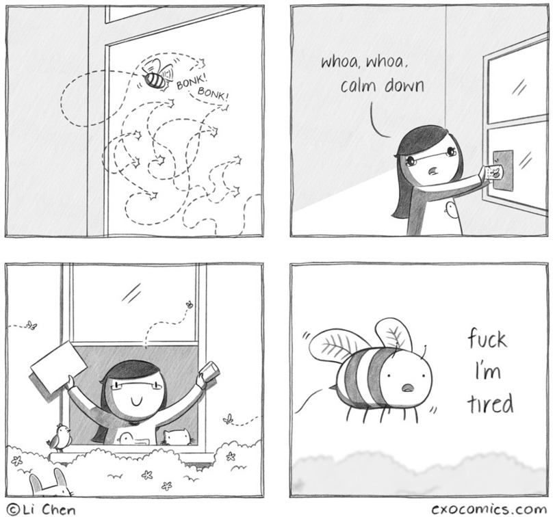 bee logic - Meme by mustafatopi :) Memedroid