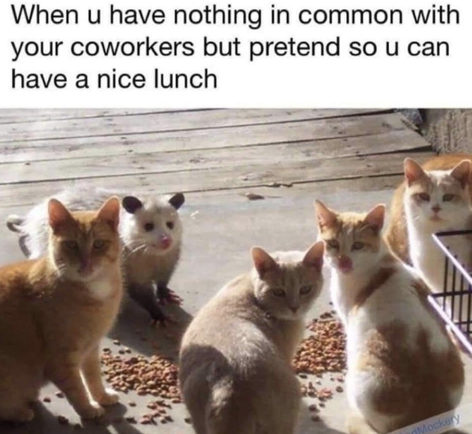 insert - Meme by Mhmm_just_memes :) Memedroid