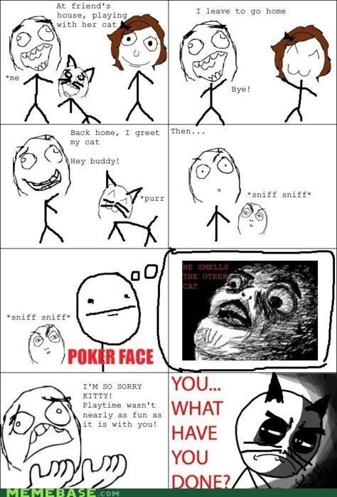 Cat rumah me and cat - Meme by Msmsmsmsmsm :) Memedroid