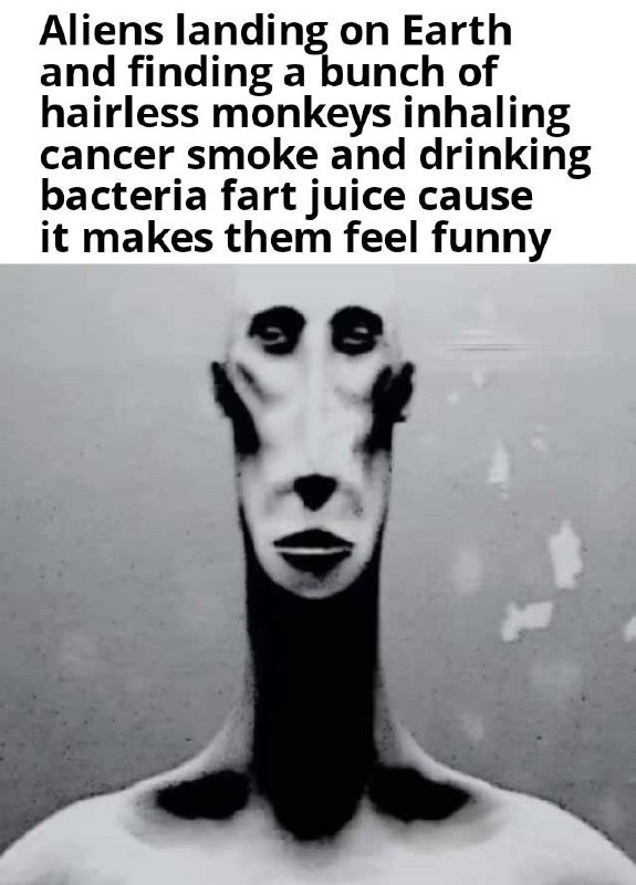 Best Alien Memes & Recent News About It