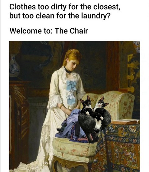 Latest memes / New memes :) Memedroid