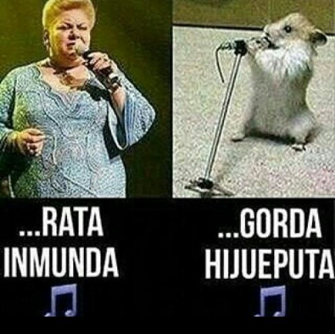 * Rata responde a rata inmunda * - Meme subido por ClashKapsMOMOS ...