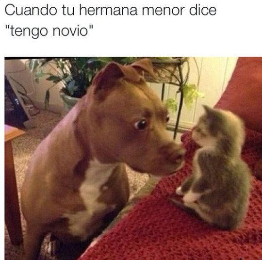 Queeeeee!? - Meme by Juampapabloblo :) Memedroid