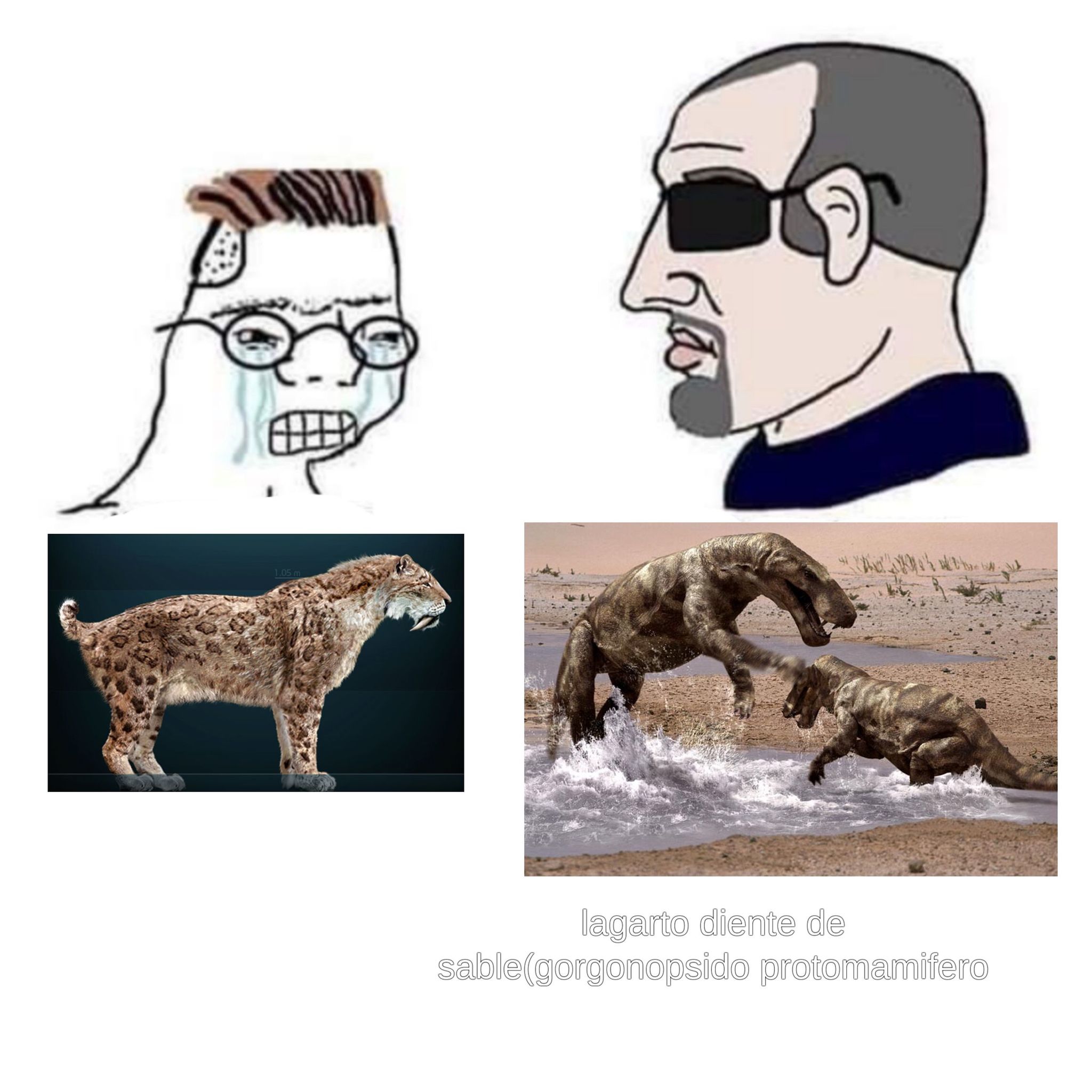 lagarto diente de sable - Meme subido por spaceshark123456 :) Memedroid