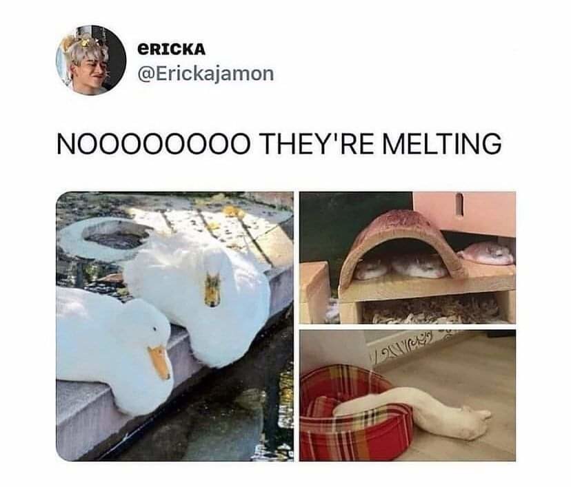 The best Weather memes :) Memedroid