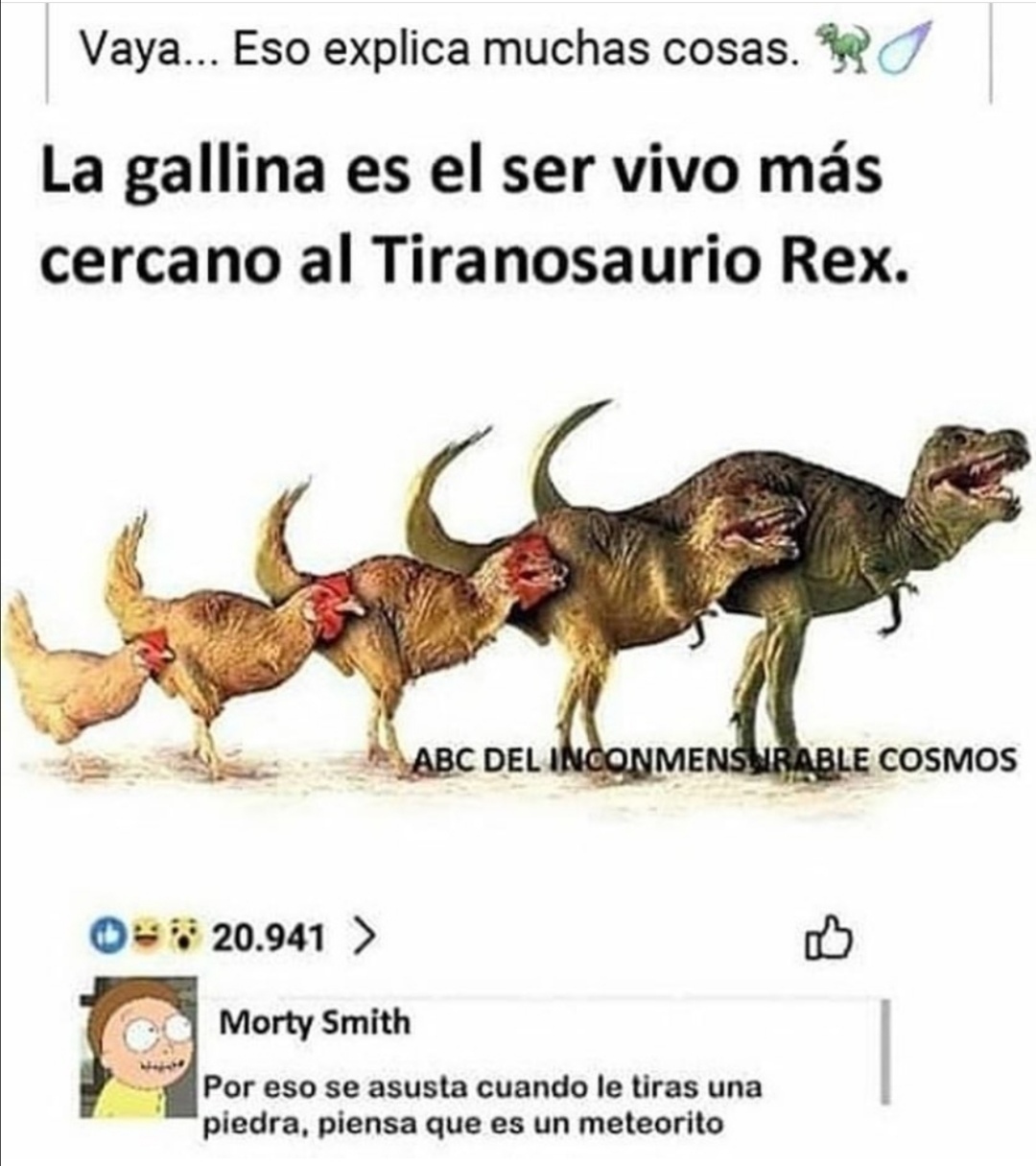 XD - Meme subido por ooofff :) Memedroid