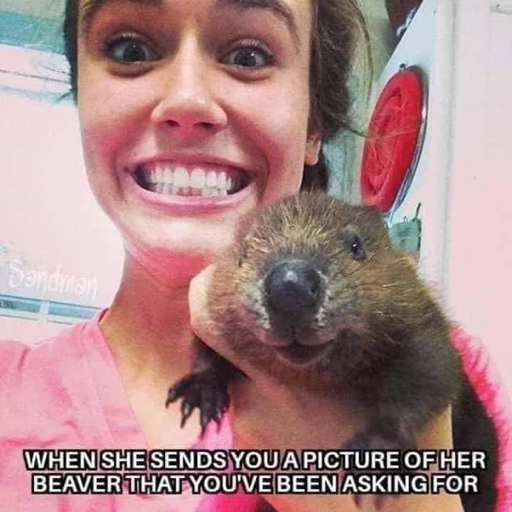 Cute little beaver - Meme by HANDSOME-DUCK :) Memedroid