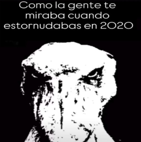 Top memes de Picozapato en español :) Memedroid