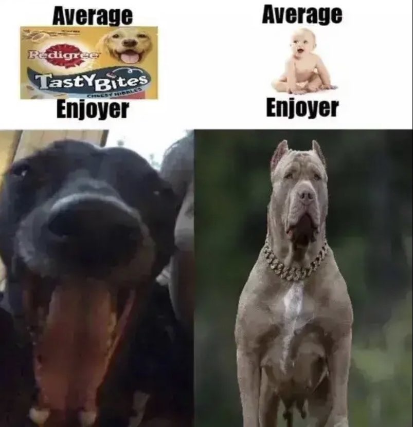 Pit bull enjoyer - Meme by archmagepikachu :) Memedroid