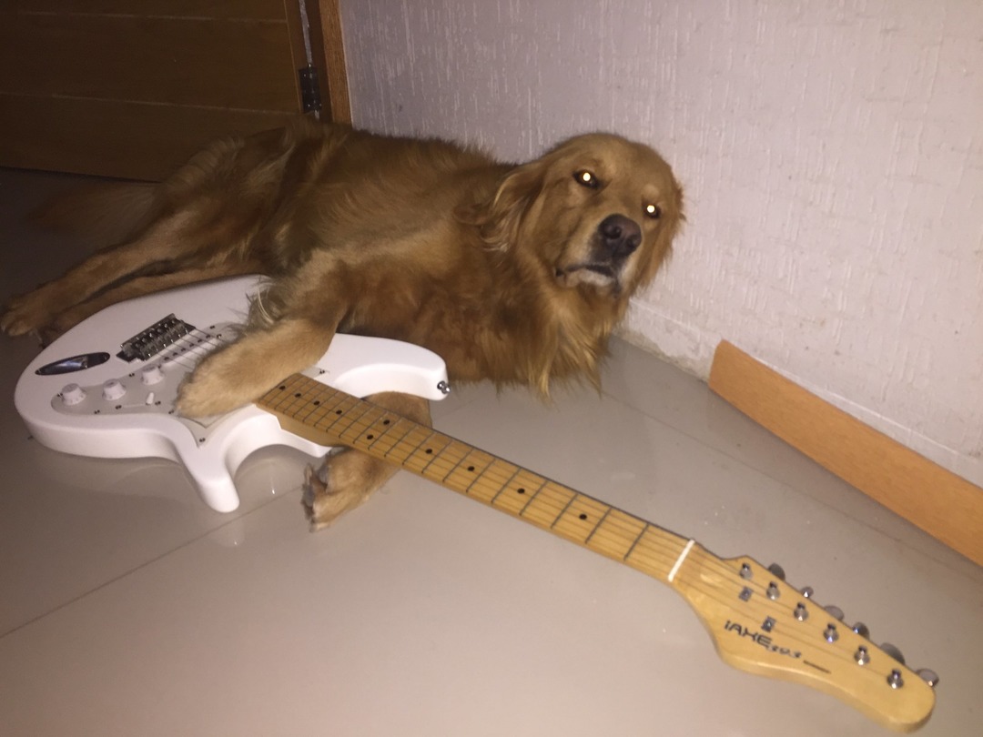 Latest memes / New memes :) Memedroid