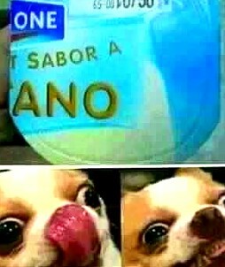 Oie ci - Meme subido por Cocoloco123 :) Memedroid