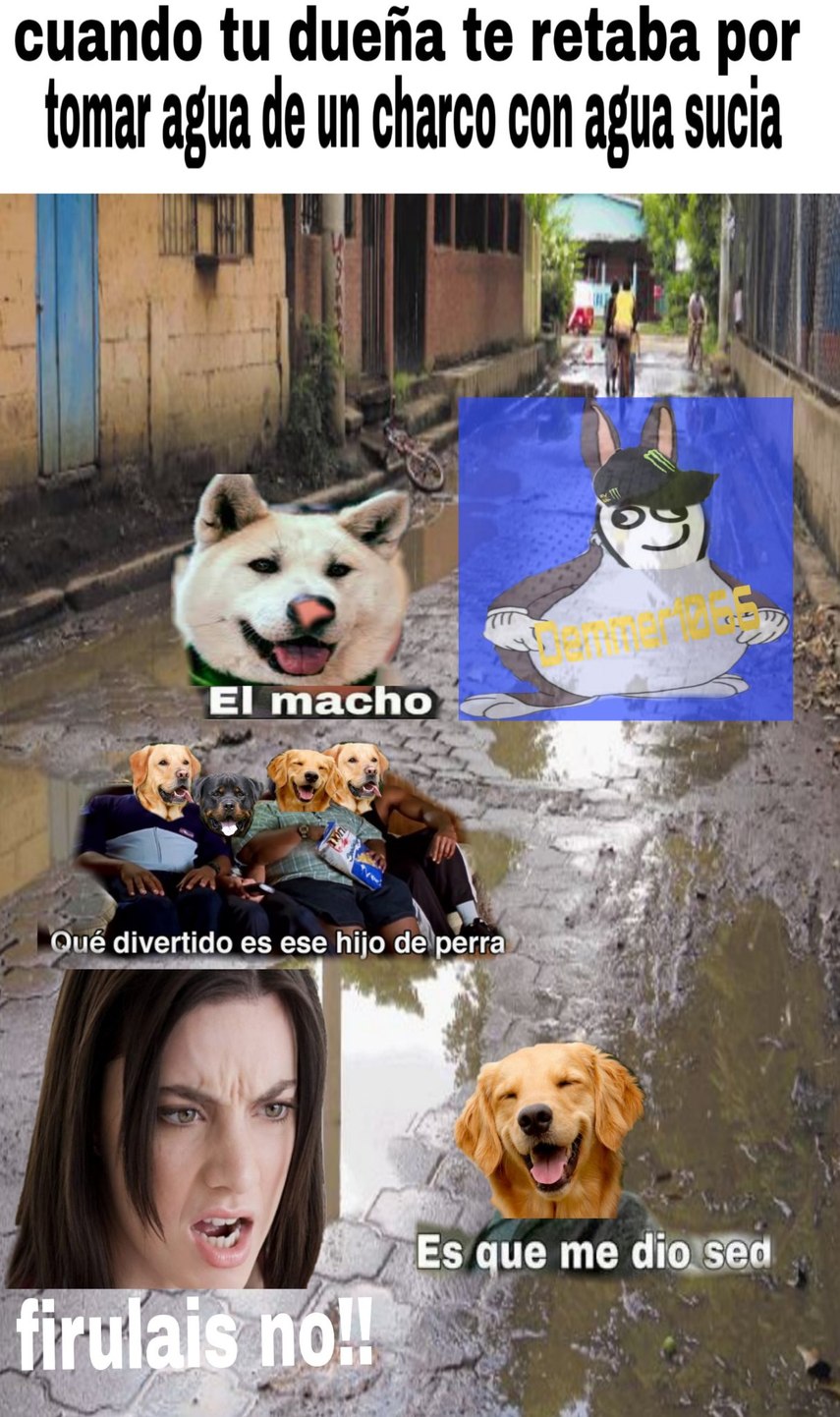 El macho - Meme subido por Demmer1066 :) Memedroid