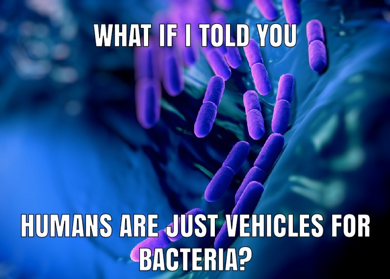 The secret truth - Meme by Hmetalcowboy :) Memedroid