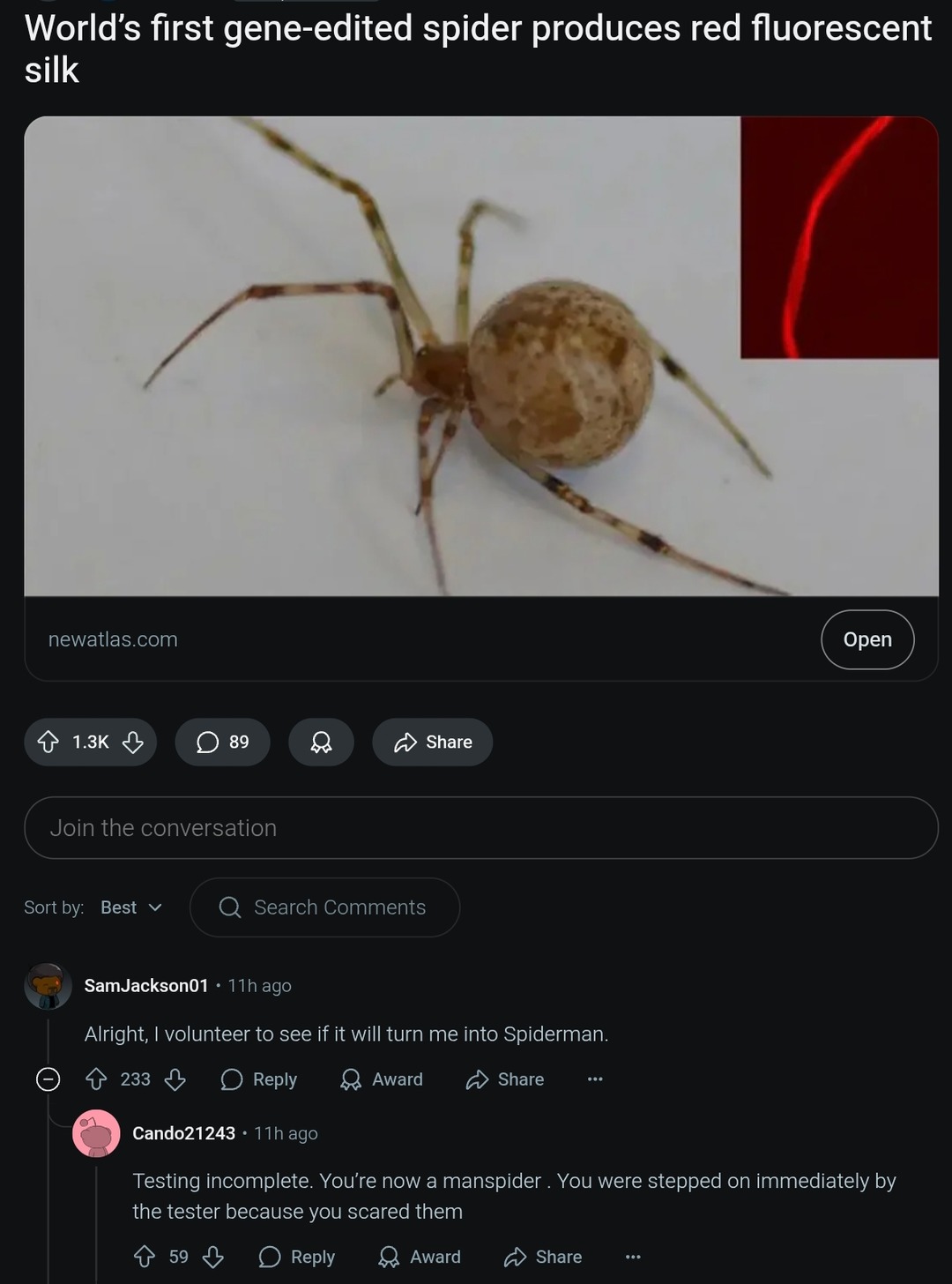 Awkward Spider Memes