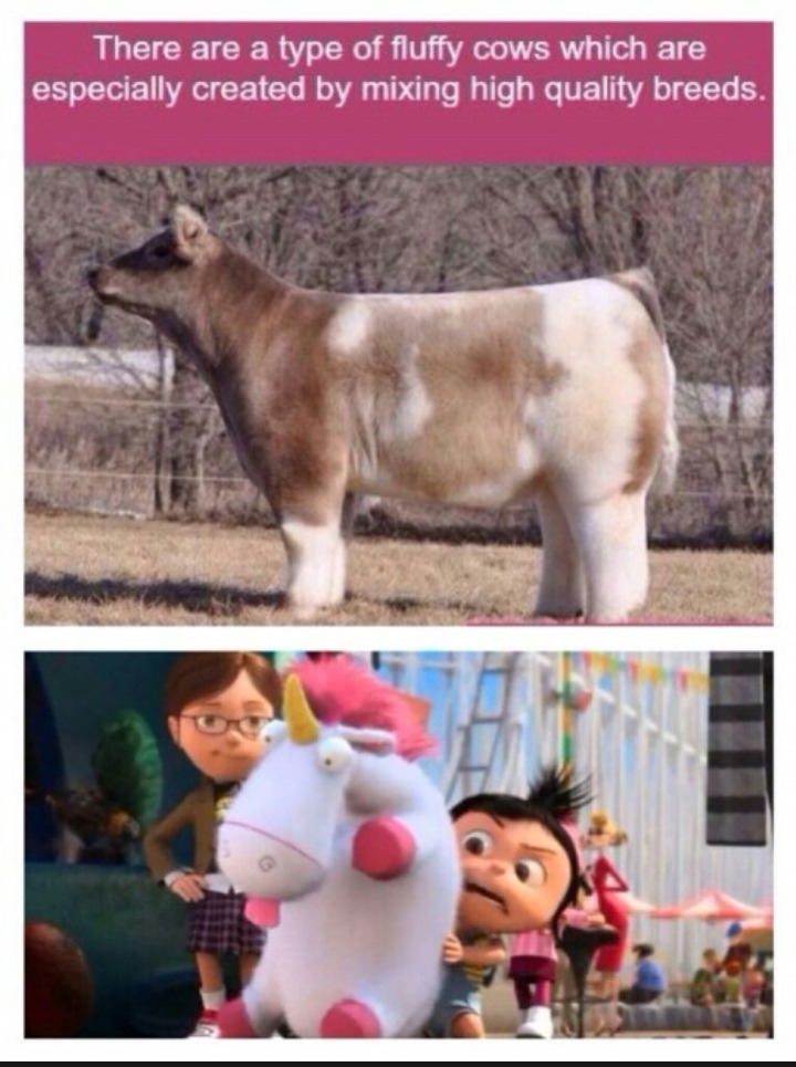 Latest memes / New memes :) Memedroid