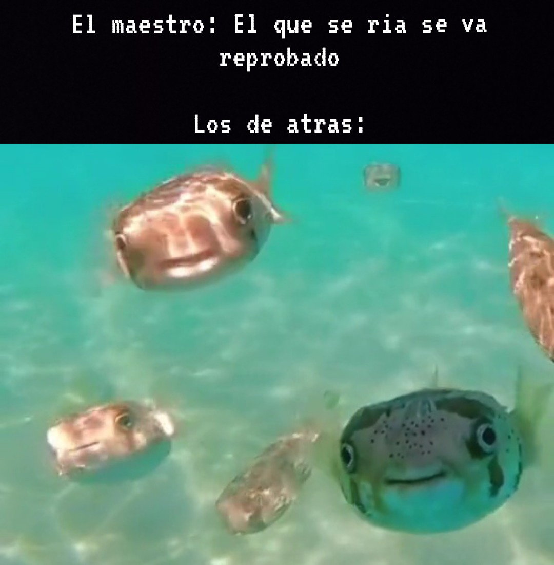 Los de atras - Meme subido por Sisoyalguien316 :) Memedroid
