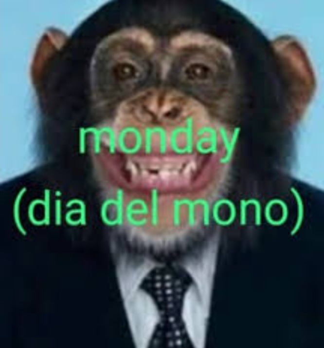 Top memes de Mono en español :) Memedroid