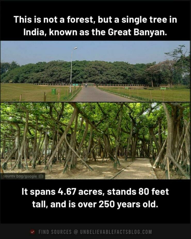 The best India memes :) Memedroid