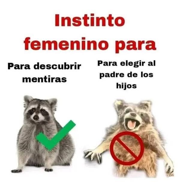 Top memes de Mentiras en español :) Memedroid