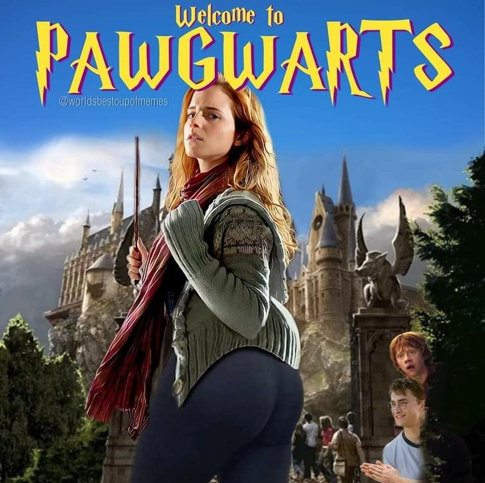 She thicccccc - Meme by audilover23 :) Memedroid