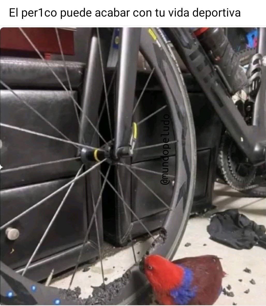 Top memes de Deportes en español :) Memedroid