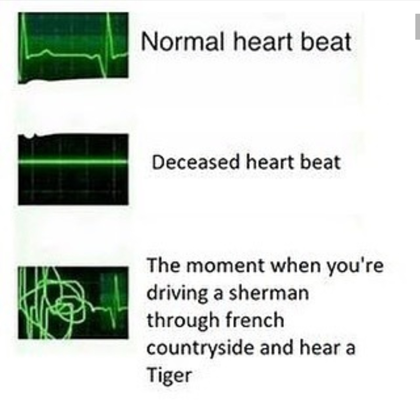 Sherman - Meme by HibernatingPlank :) Memedroid