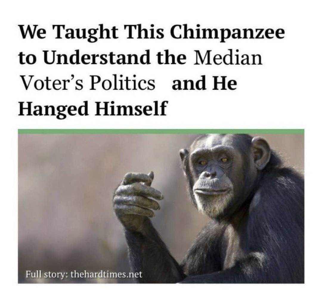 The best Chimpanzee memes :) Memedroid