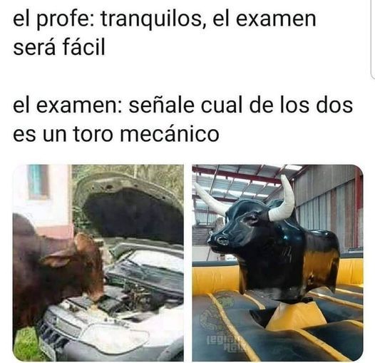 msmsmsms - Meme subido por Policia_Memedroid :) Memedroid