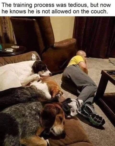 The best Training memes :) Memedroid