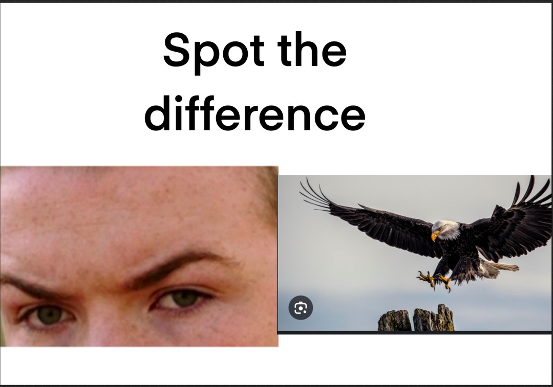 The best Eyebrows memes :) Memedroid