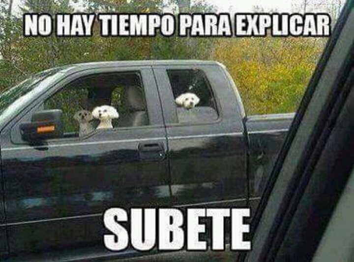 el titulo esta salvando al mundo :v - Meme subido por Silverstack ...