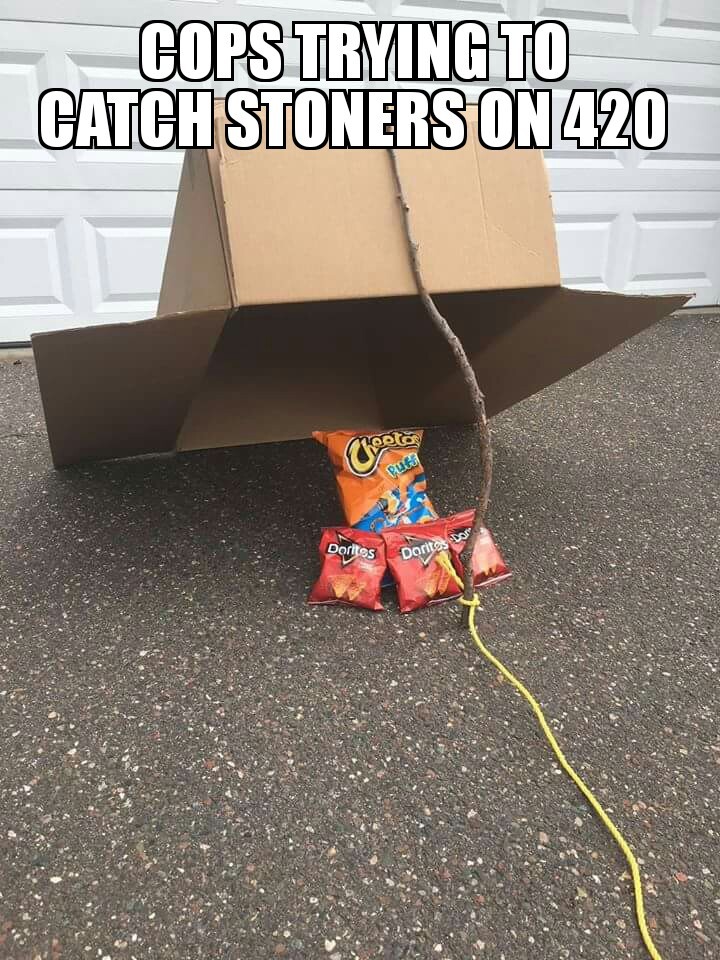 That's entrapment bro - Meme subido por Jason101 :) Memedroid