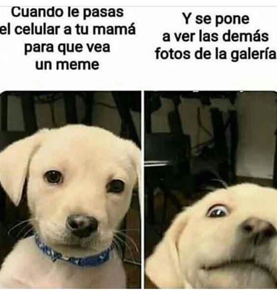 Xf - Meme subido por AndrianxD_O :) Memedroid