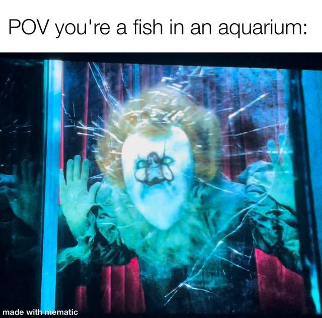 fish in an aquarium - Meme by Mustafafleur :) Memedroid