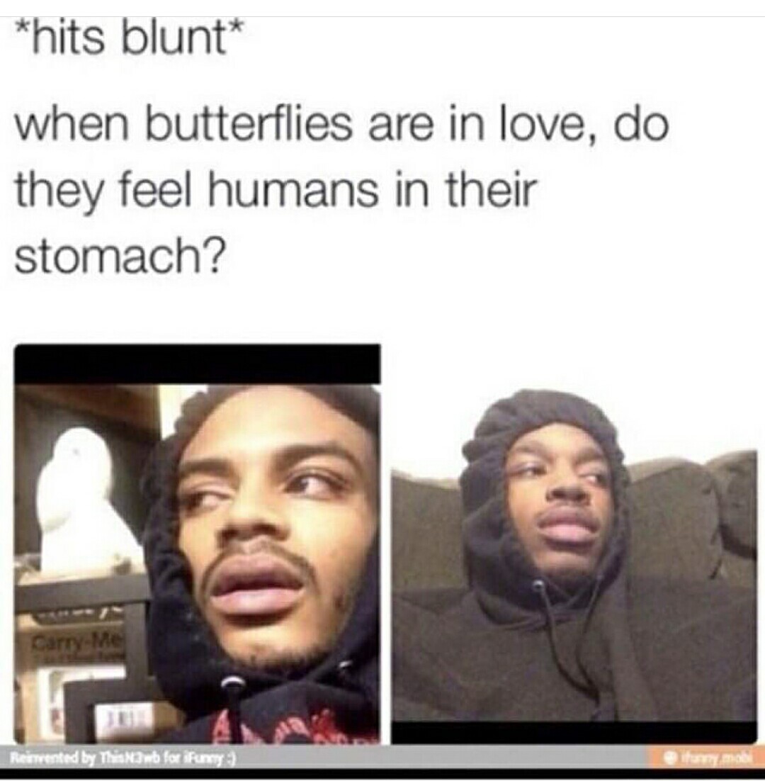 Blunt - Meme by ShadowNinja_z :) Memedroid