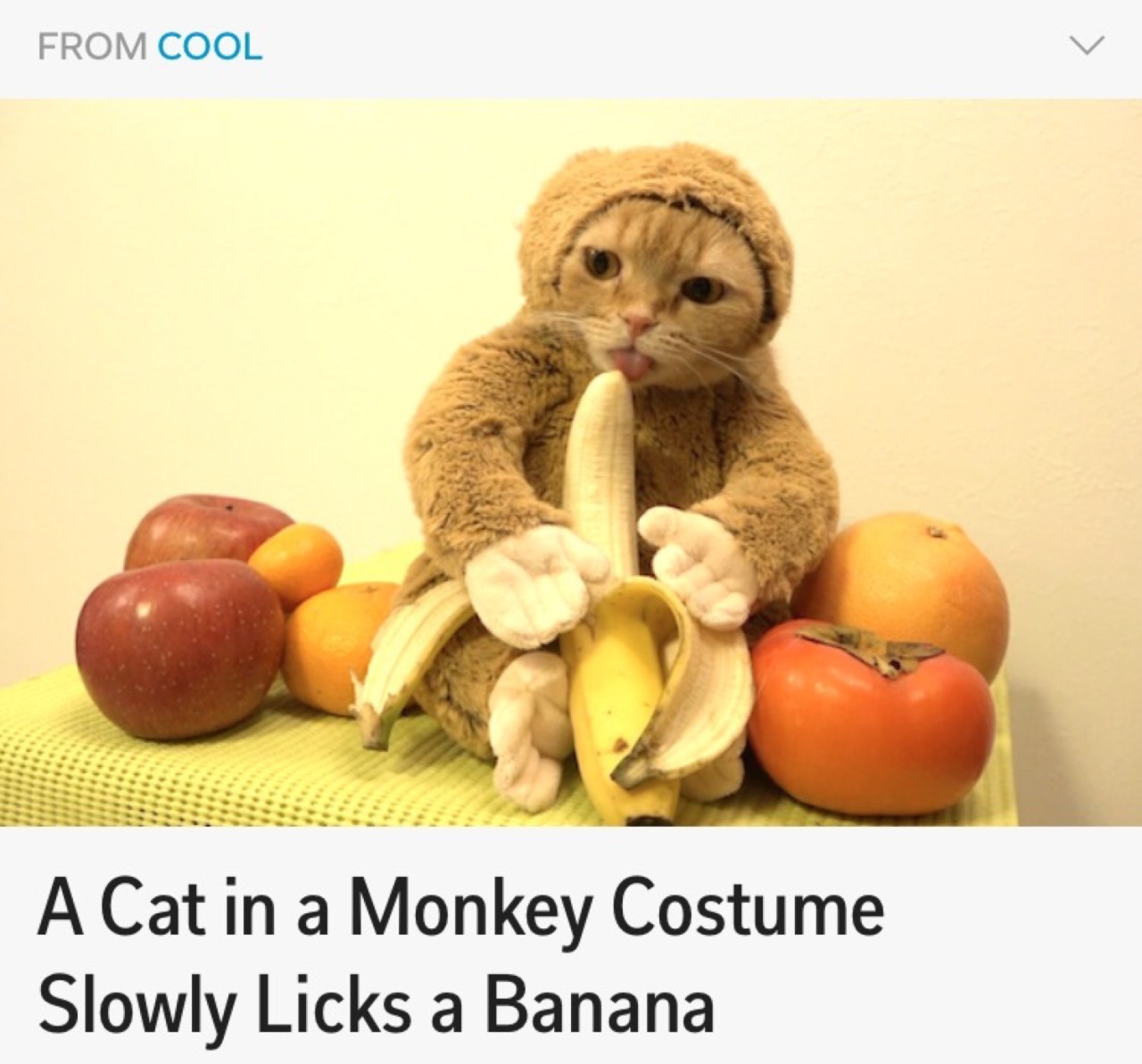 Cute - Meme by The_Party_Pooper :) Memedroid