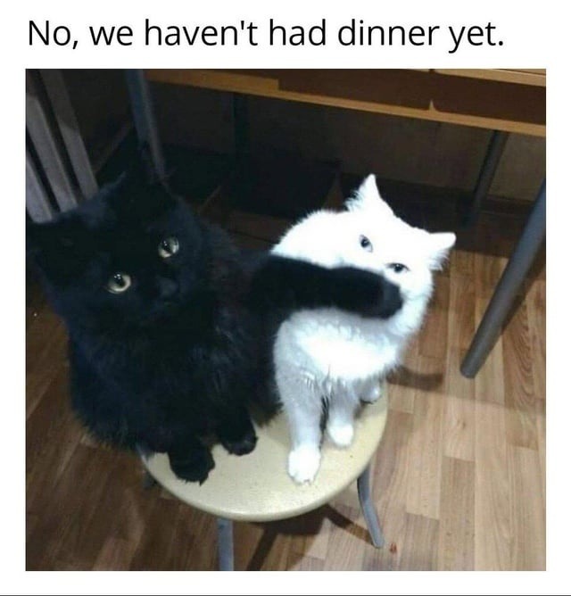 The best Dinner memes :) Memedroid