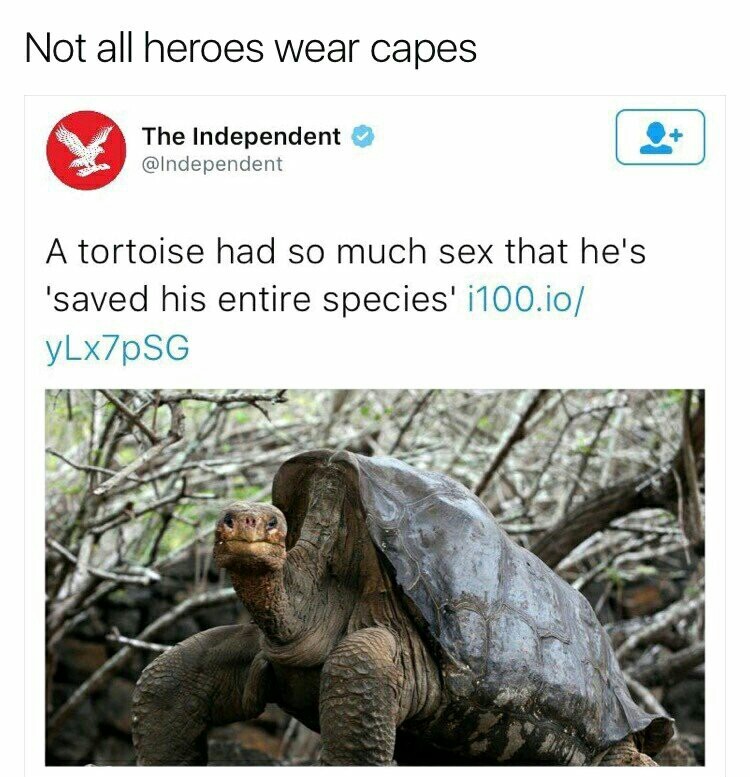 Impressive - Meme by Tweet :) Memedroid