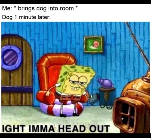 Come here boy - Meme by Italian_Patatoe :) Memedroid