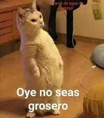 oye - Meme subido por momo345 :) Memedroid