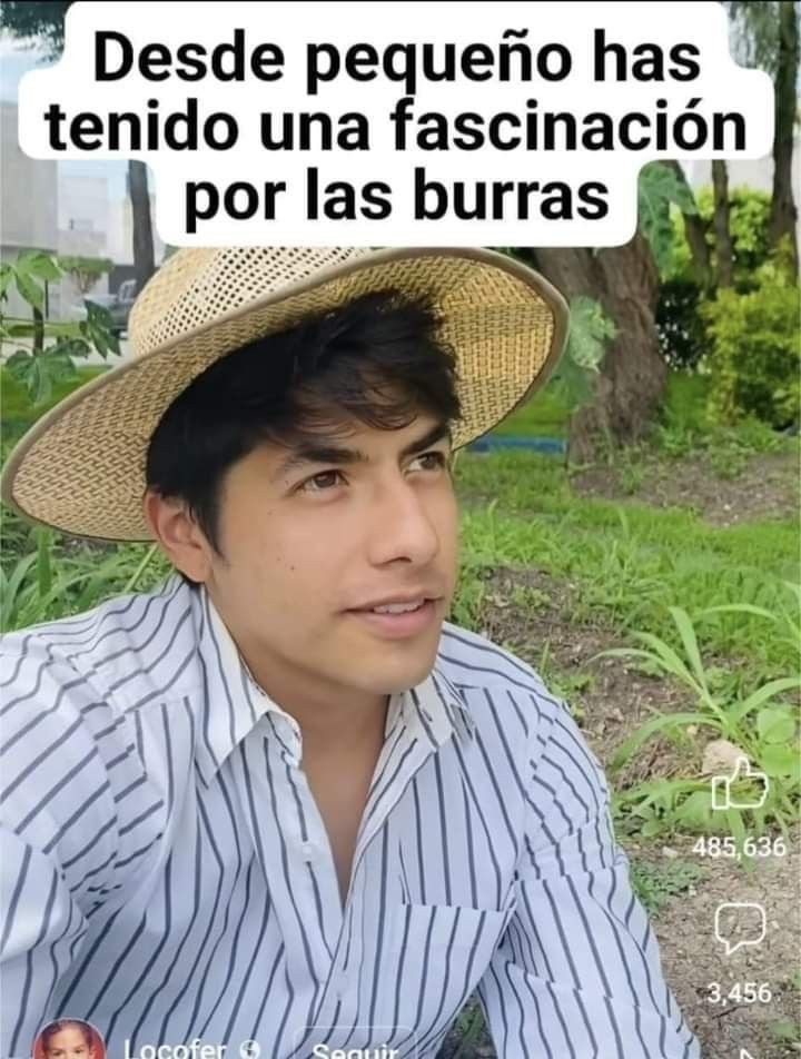 Top memes de Burras en español :) Memedroid